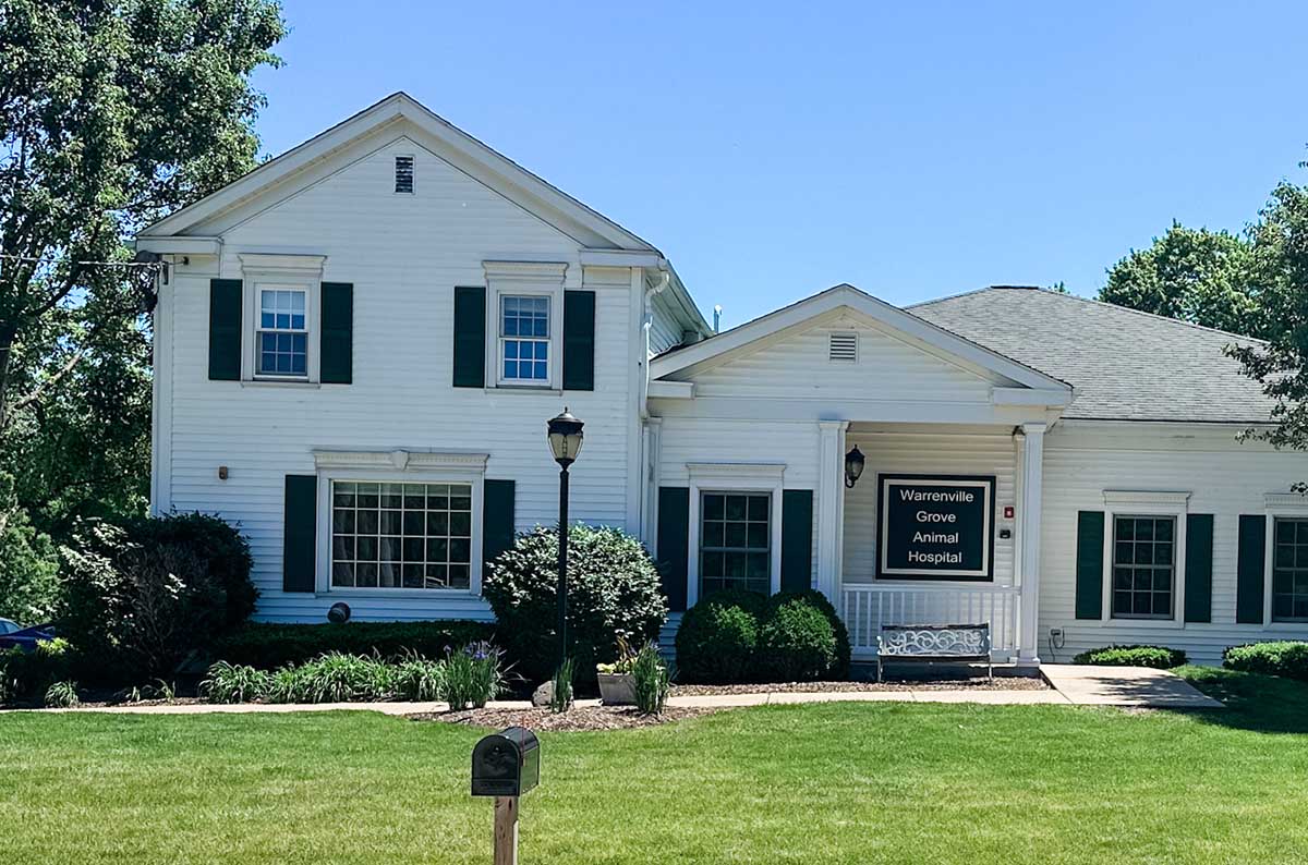 Tour Warrenville Grove Animal Hospital in Warrenville, IL